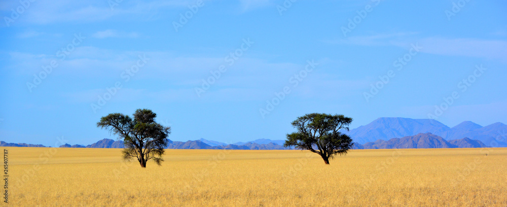 Landscape of Namib-Naukluft National Park is a national park of Namibia ...