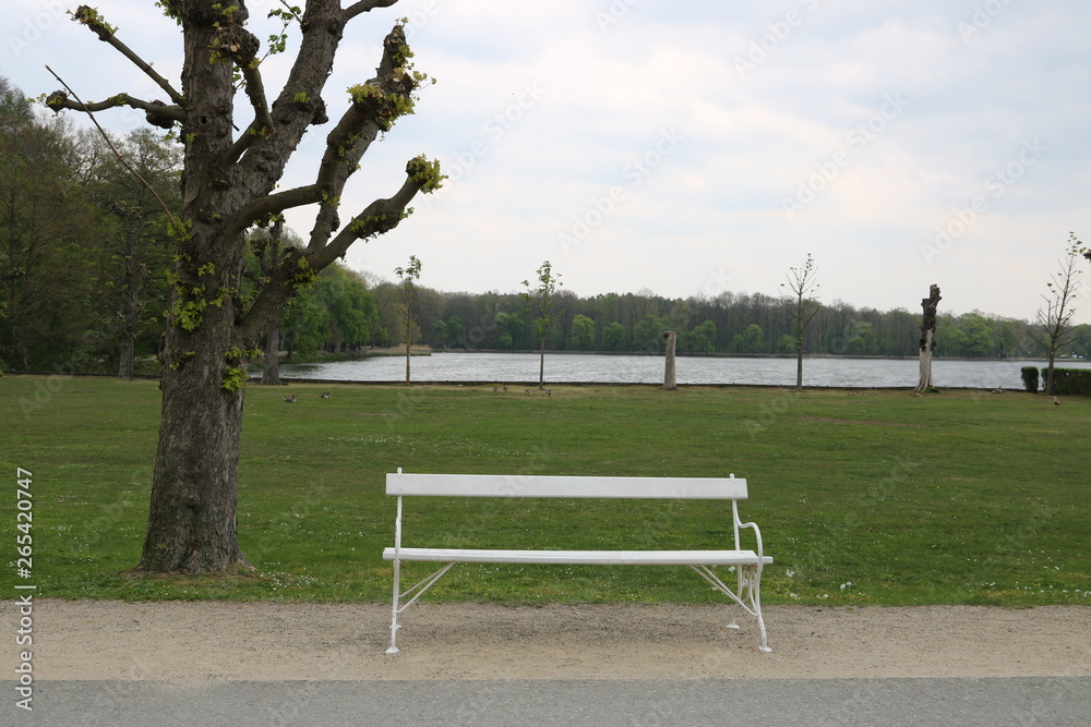 Bank im Park am Schloss Moritzburg in Sachsen Stock Photo | Adobe Stock