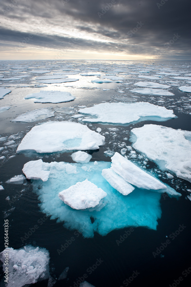 Ice floes in Northern Arctic with underside visible through sea surface ...