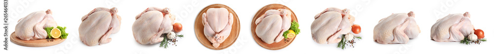 Set of raw turkey on white background Photos | Adobe Stock