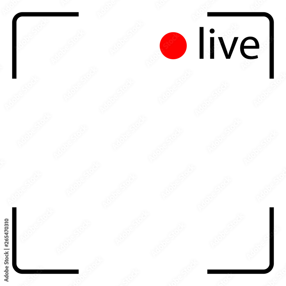 camera screen showing recording is in progress Stock Vector | Adobe Stock