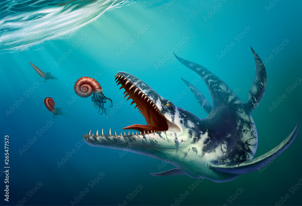 Cretaceous Sea Animals