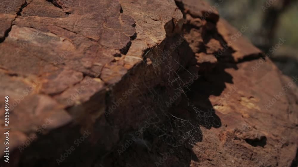 Extreme close-up high-angle pan shot of King Canyon sand stone with a ...