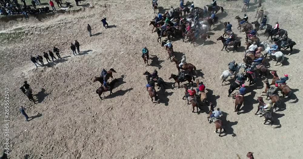 herd of horses view from drone Frightened horse stands on its legs ...