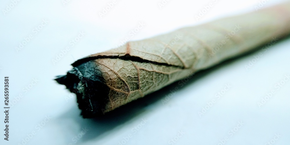 Burned bidi on white background Stock Photo | Adobe Stock