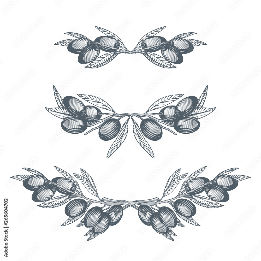 Olive branch decorative border frame set. Vector illustration of olive ...