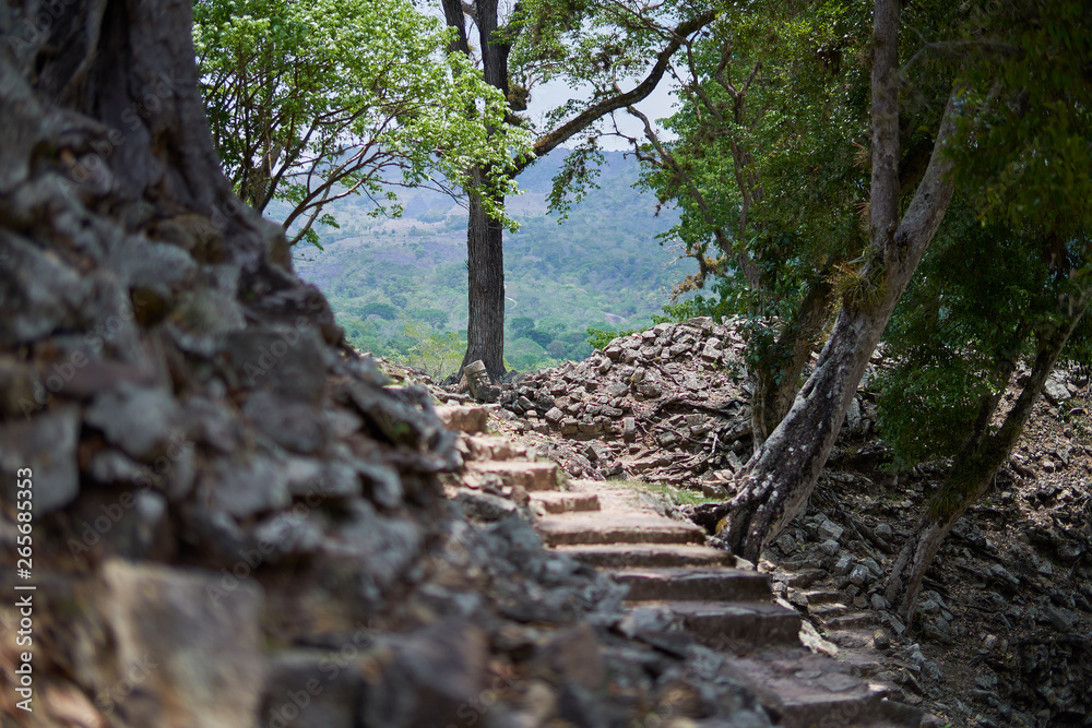 Ancient stairs and ruins of the civilisation maya. Copan. Honduras ...