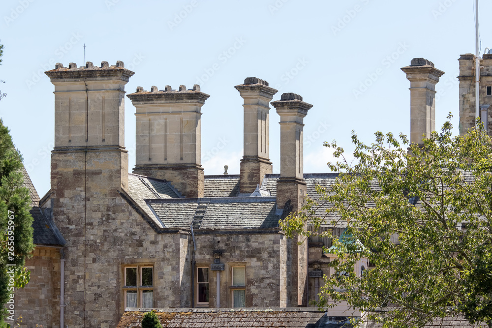 Rooftop stacks on medieval building. Grand gothic architectural roof ...