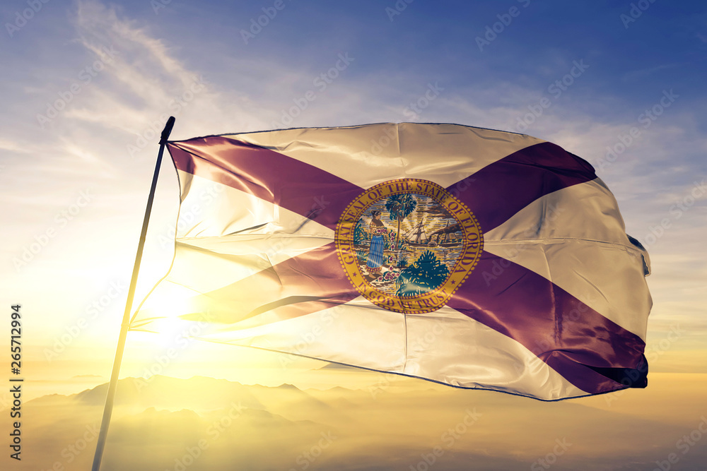 Foto Stock Florida state of United States flag waving on the top ...