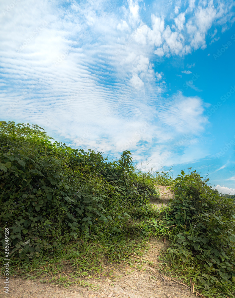 Footpath with Natural Three Step Stairs as If as Big Wide Blue Sky Is ...