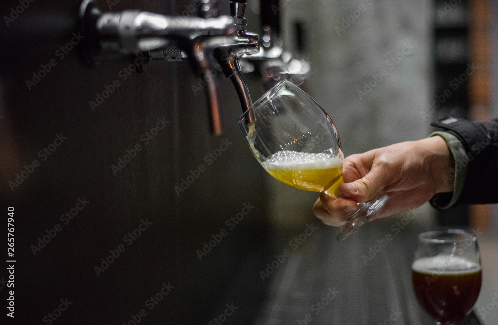 bartender hand at beer tap pouring a draught beer in glass serving in a ...