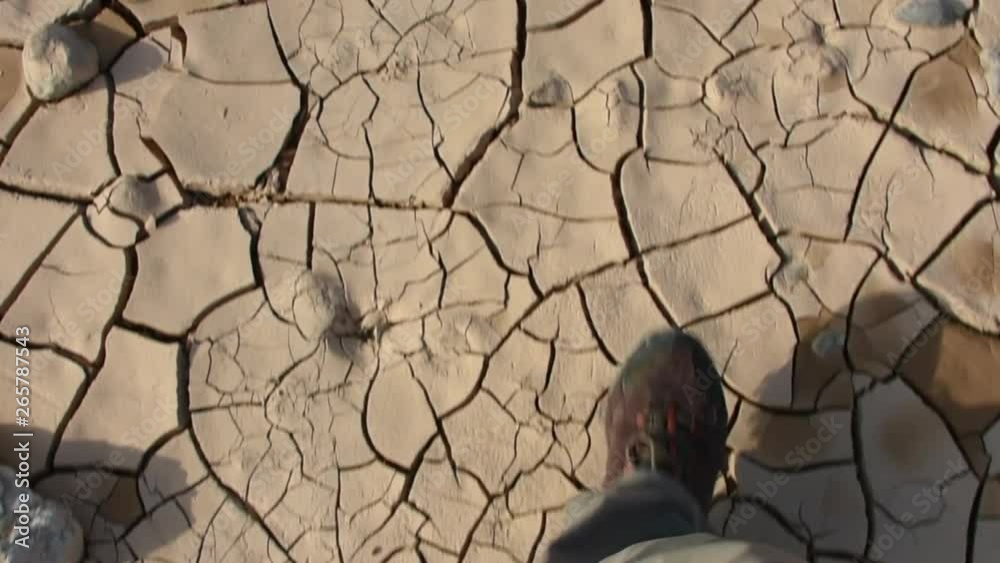 After a flood in the desert wadi on the road to Jebal Jais in Ras al ...