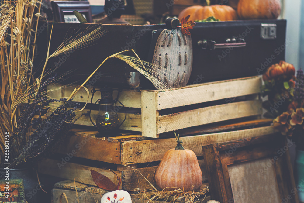 View of a showcase full of interesting old things for sale. Various ...