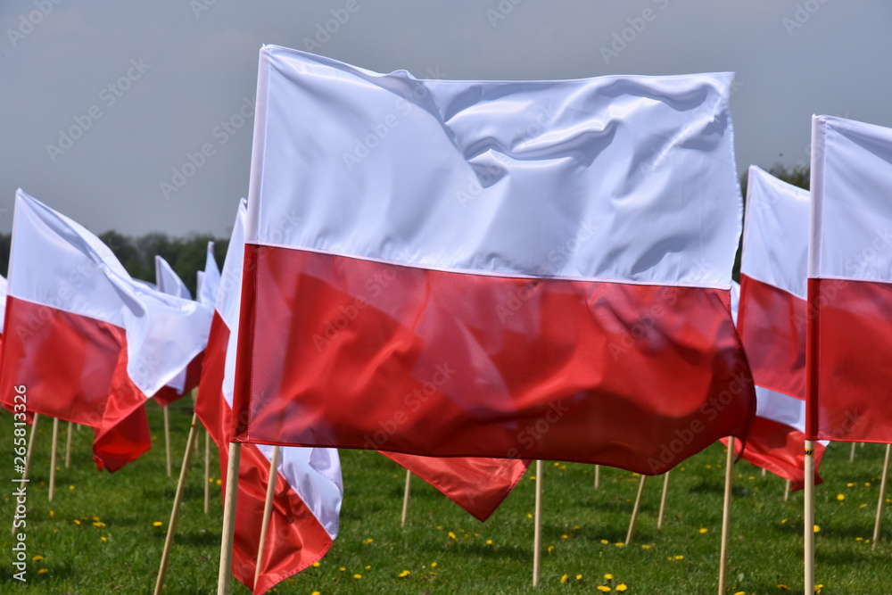 Flaga Polski święto flagi Błonia Krakowskie Stock Photo | Adobe Stock