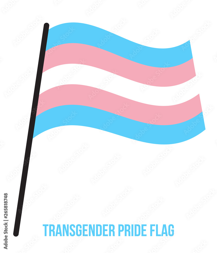 Transgender Pride Flag Waving Vector Illustration Designed with Correct ...