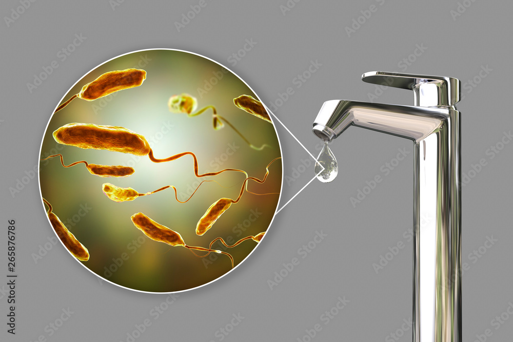 Safety of drinking water concept, 3D illustration showing bacteria ...