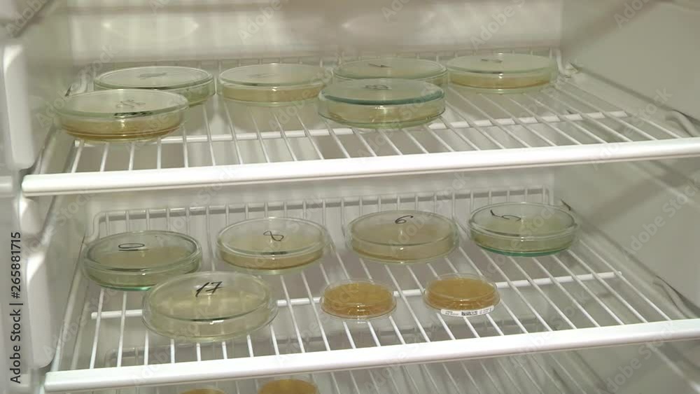 Doing biological research in clean environmental. Sterile conditions ...