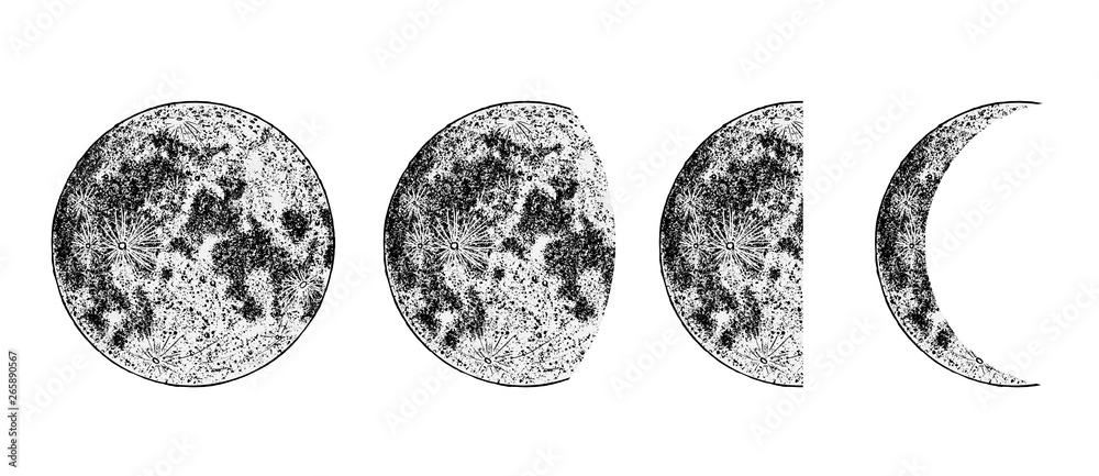 Photo & Art Print Realistic moon phases image on white background ...