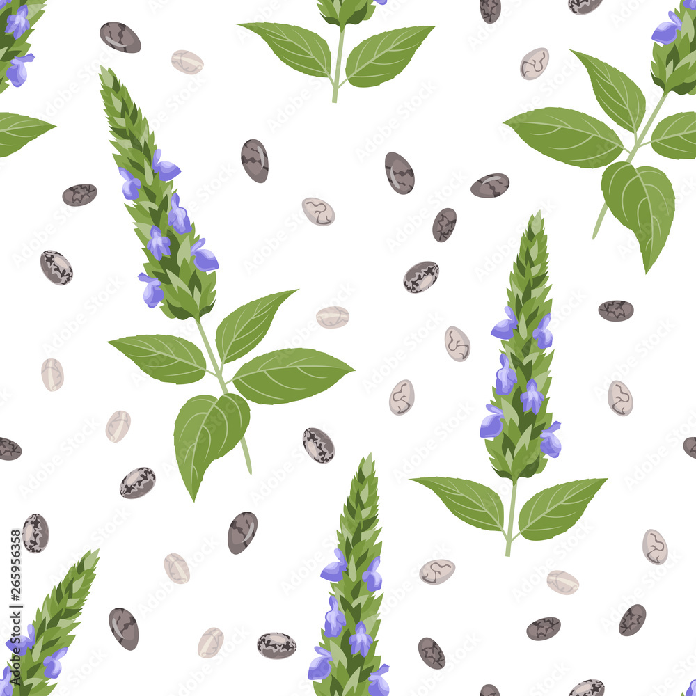 Chia plant and seeds seamless pattern on white background. Vector ...