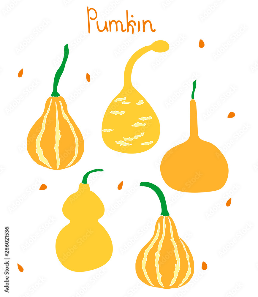 Sponge Gourd Drawing