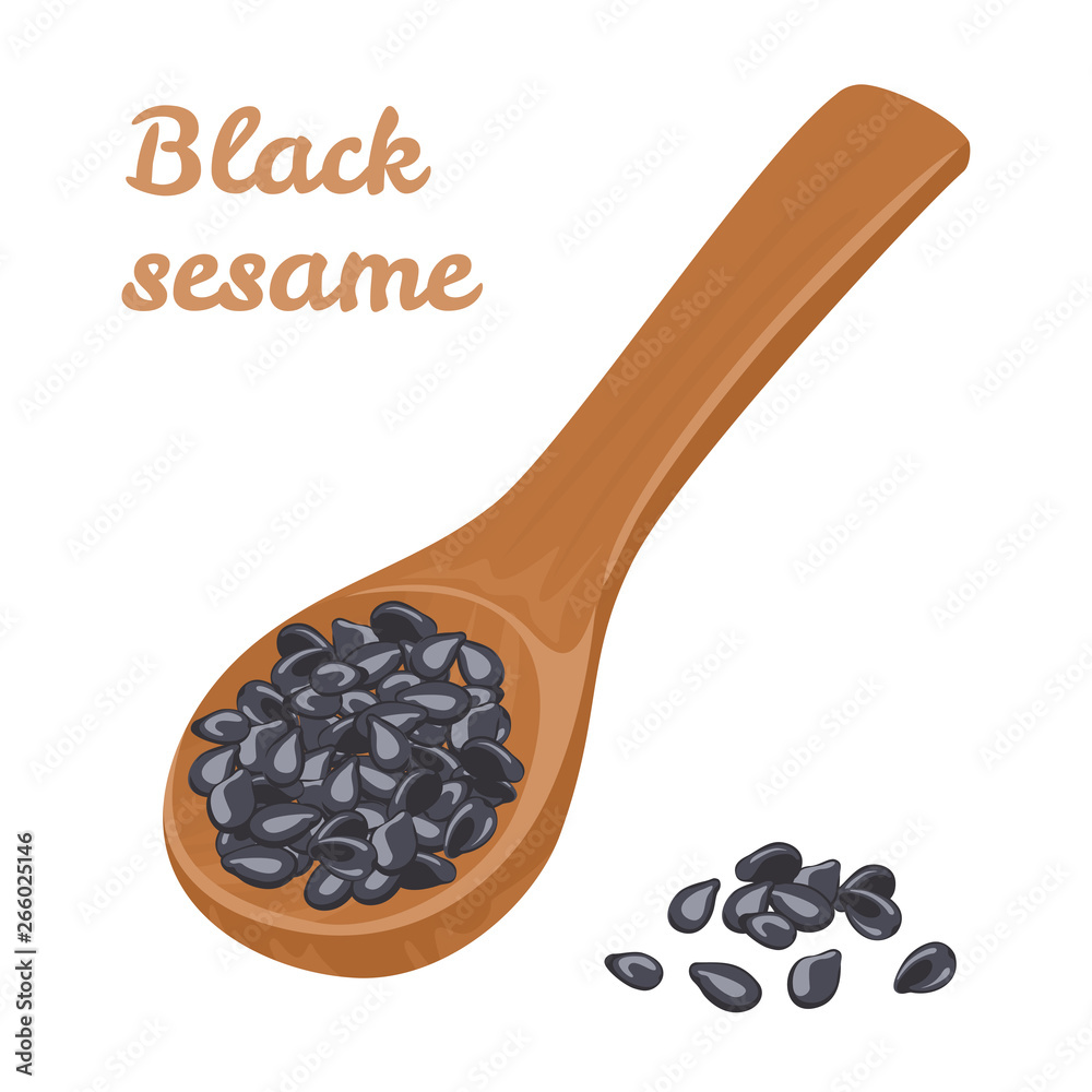 Black sesame in wooden spoon isolated on white background. Vector ...