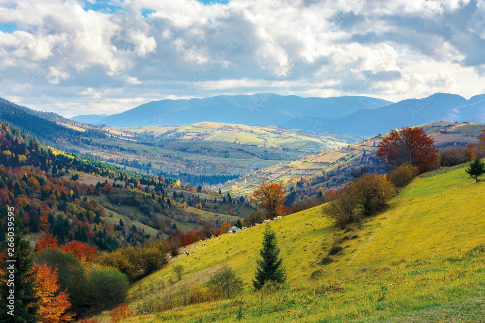 autumn landscape. village on the hillside. forest on the mountain ...