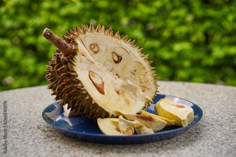 Chopped riped durian fruit, Durio zibethinus, on the blue platen and ...