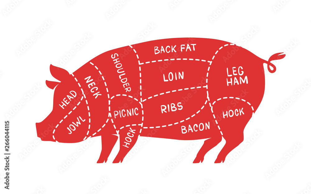 Cuts of meat, pig. Pork, butcher shop vector illustration Stock Vector ...