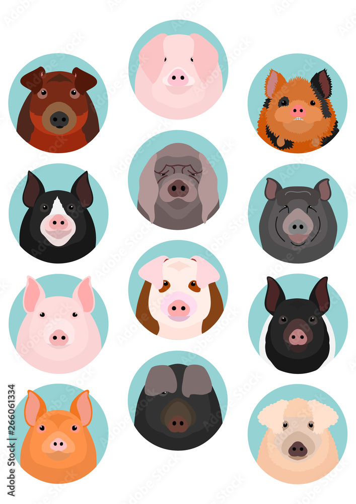 pig faces set Stock Vector | Adobe Stock