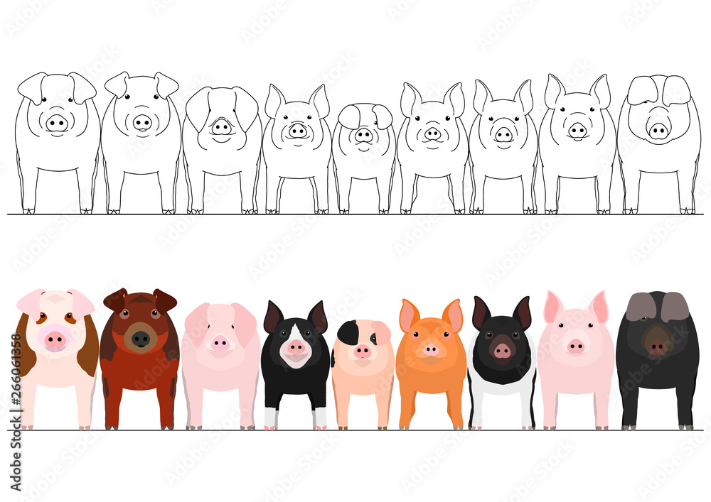 pigs border set Stock Vector | Adobe Stock