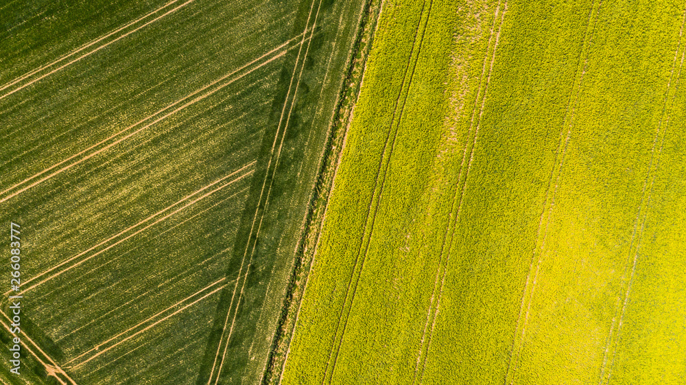 Colorful patterns in crop fields at farmland, aerial view, drone photo ...