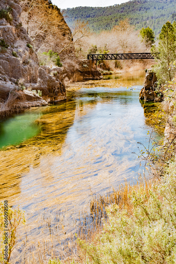 Maravillosas vistas del río y del puente ferroviario sobre el río ...