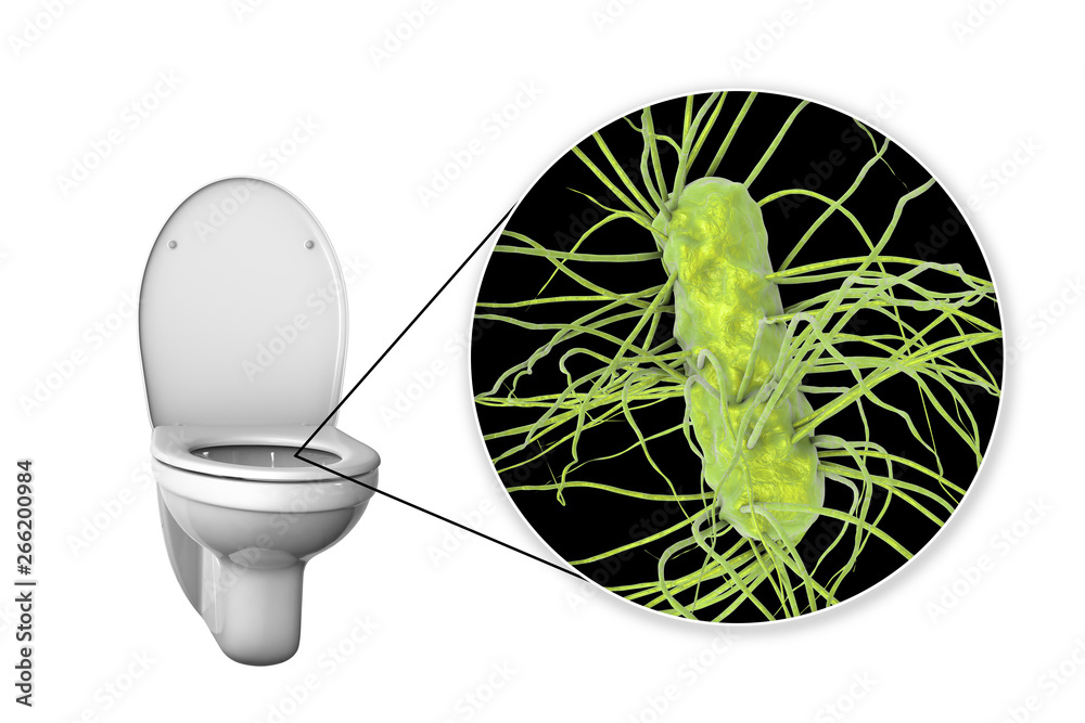 Toilet microbes, conceptual 3D illustration. Transmission of diarrheal ...