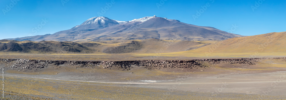 The amazing landscape views at Atacama Desert altiplano, at more than ...