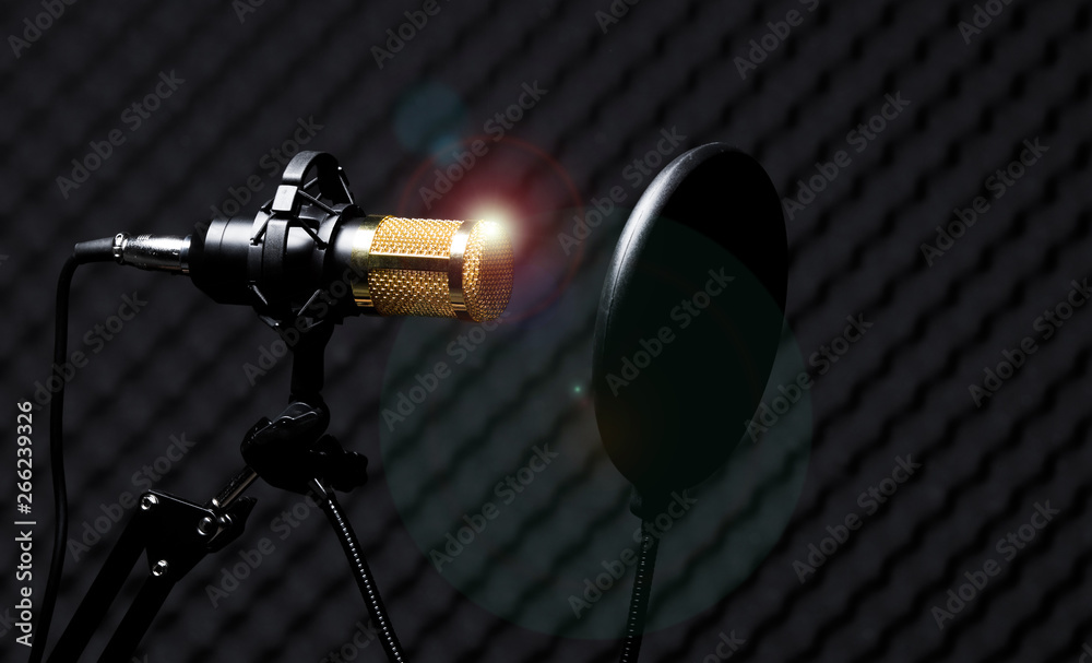 Microphone Condenser, gold mic with filter hang over sound absorbing ...