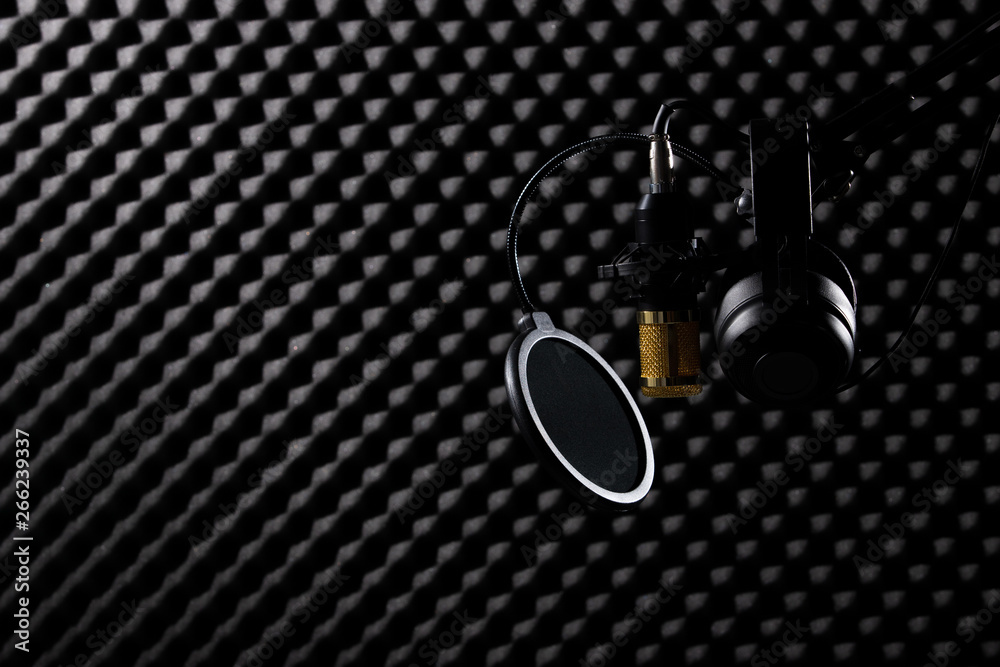 Microphone Condenser, gold mic with filter hang over sound absorbing ...