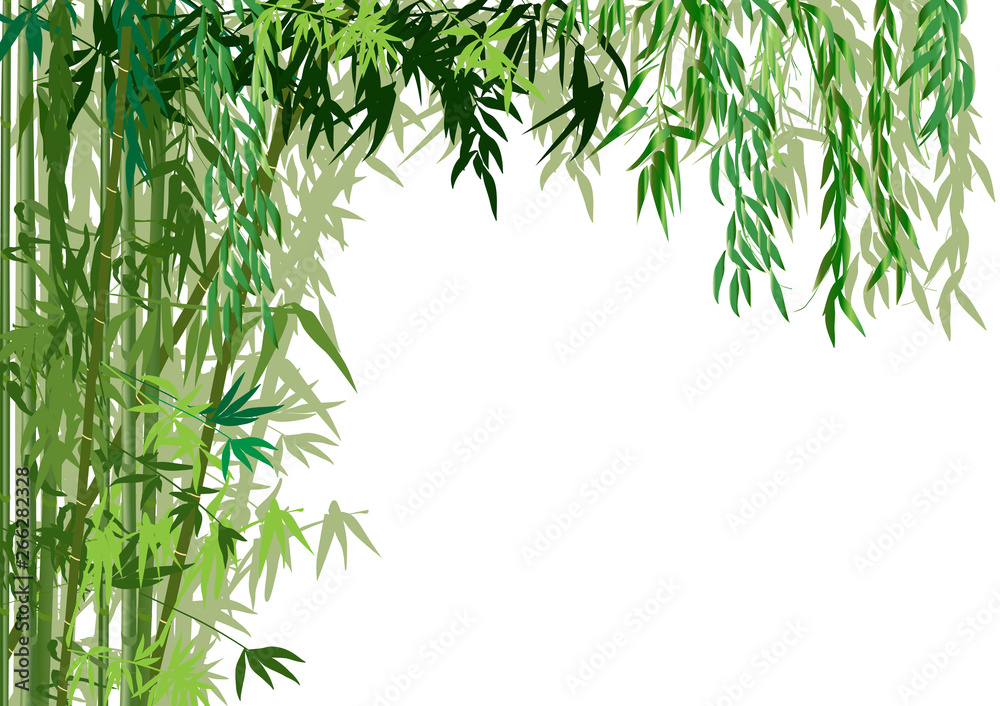 lush green color bamboo corner on white Stock Vector | Adobe Stock