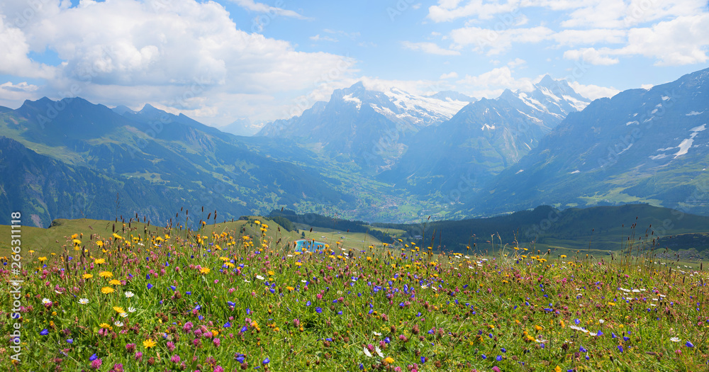 Malerische Landschaft mit bunter Blumenwiese und Blick nach Grindelwald ...