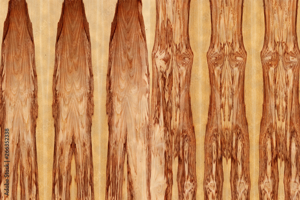 light brown ash-tree timber tree wood structure texture background ...