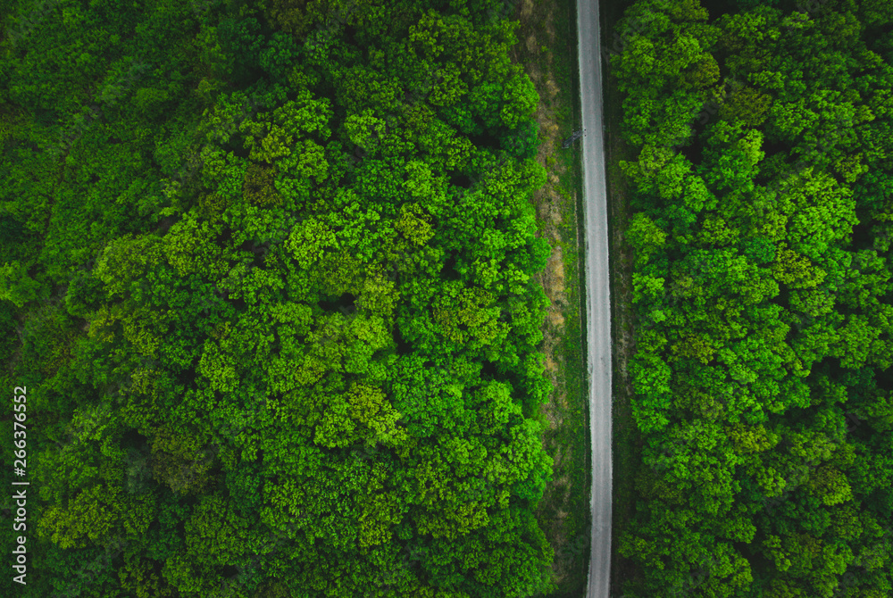 Aerial top view over the hill road going through green forest (without ...