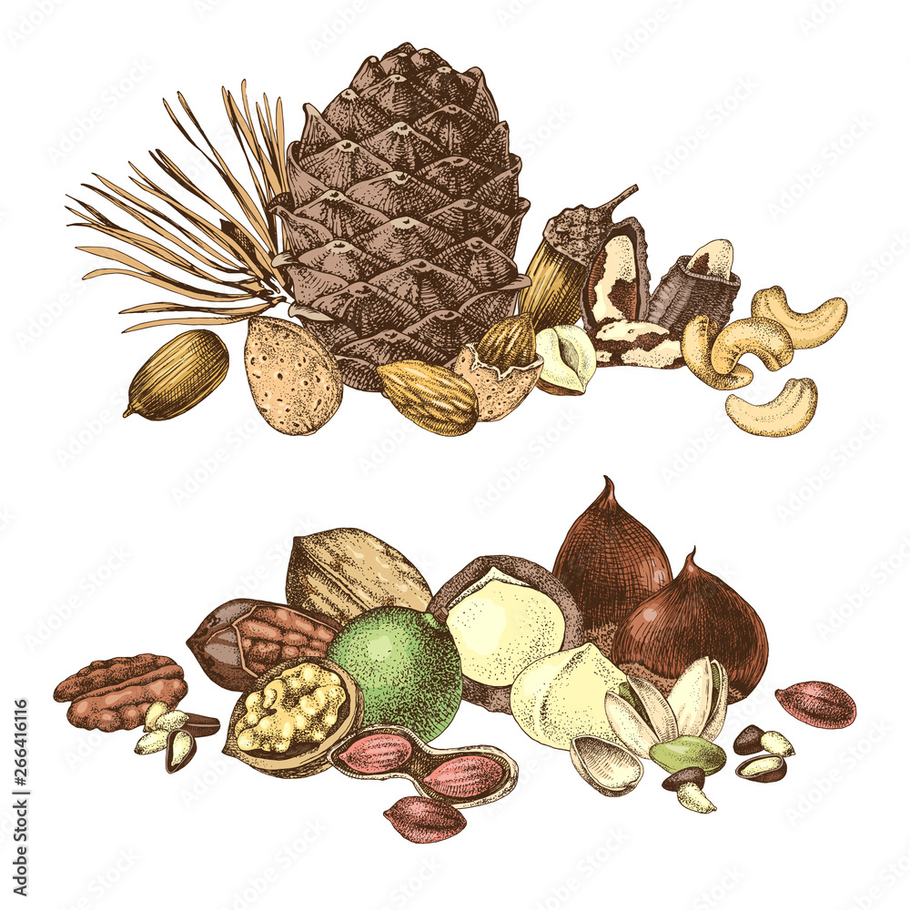Borders with hand drawn edible nuts Stock Vector | Adobe Stock
