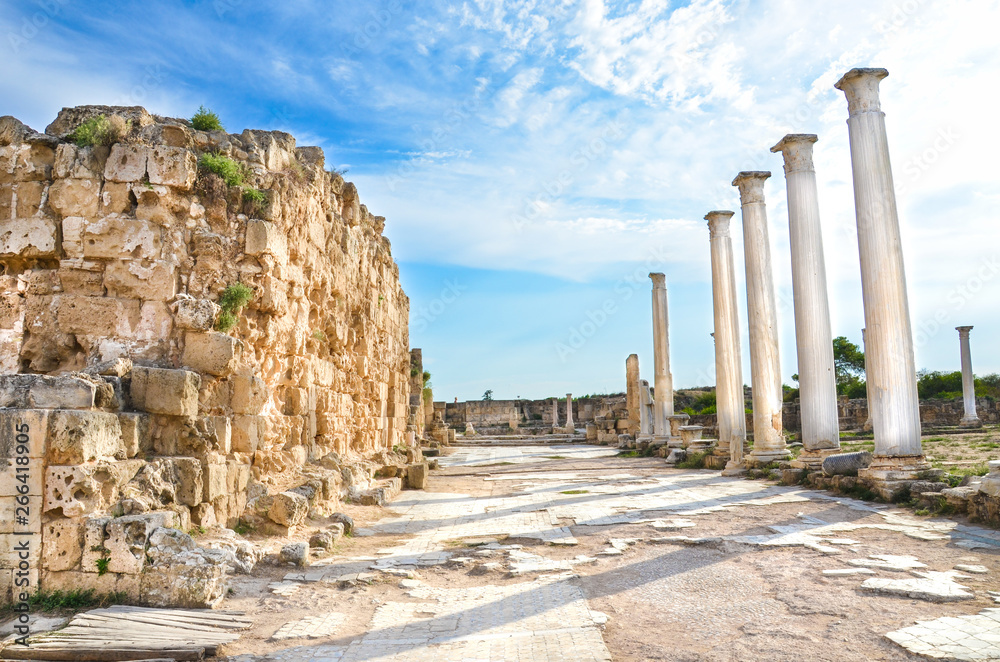 Stunning view of well preserved Salamis ruins in Northern Cyprus taken ...