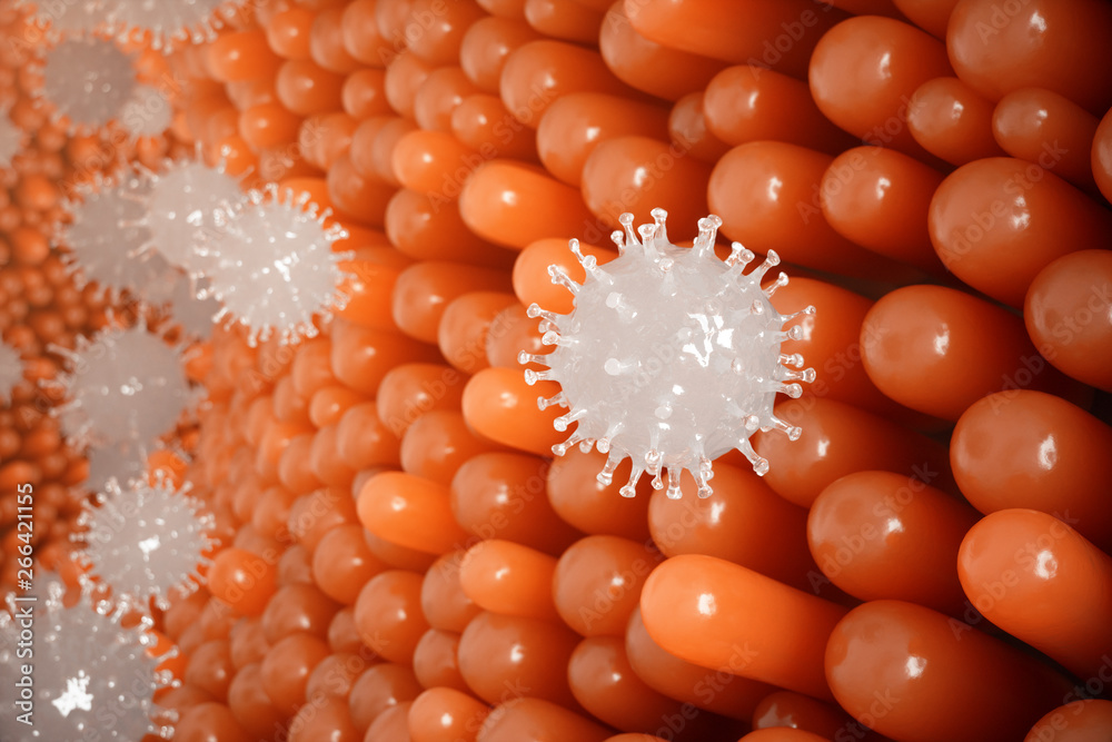 Intestinal villi, mucosa intestinal. Bacteria and microbes in ...