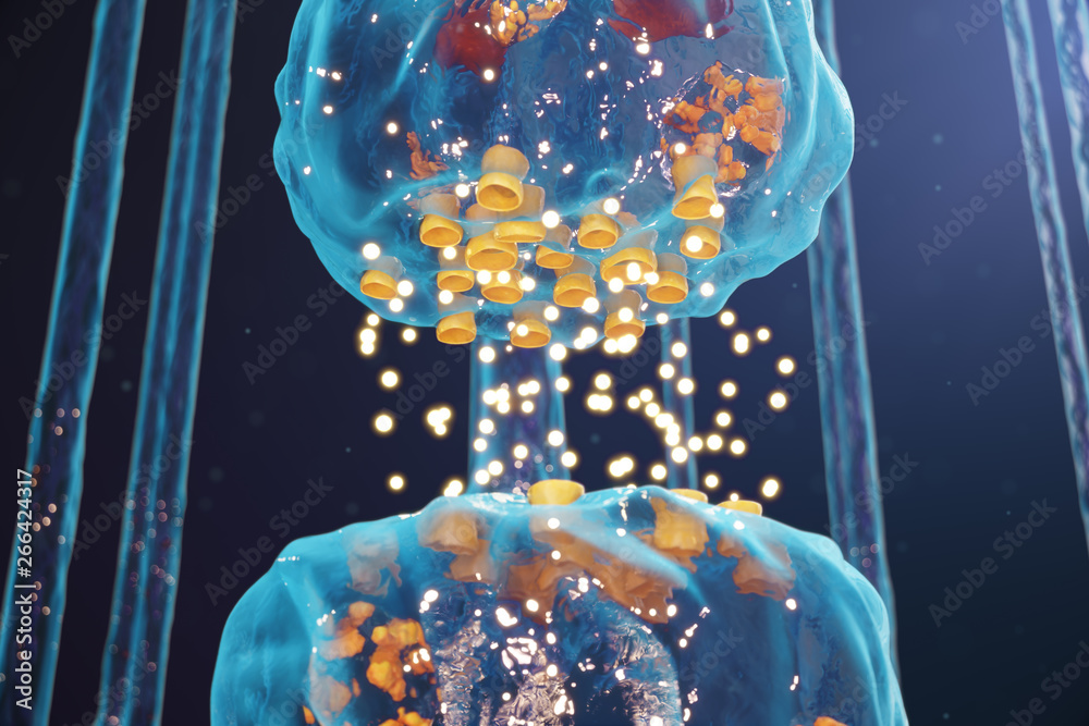 Synaptic transmission, human nervous system. Concept consciousness ...