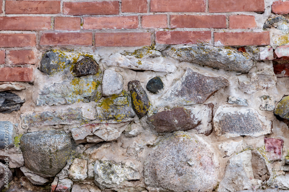 Vintage background. Of the 19th century. Stock Photo | Adobe Stock