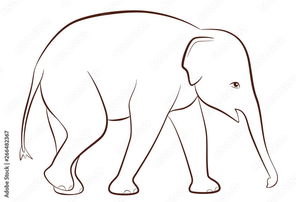Baby elephant in outline style isolated on white background, vector ...