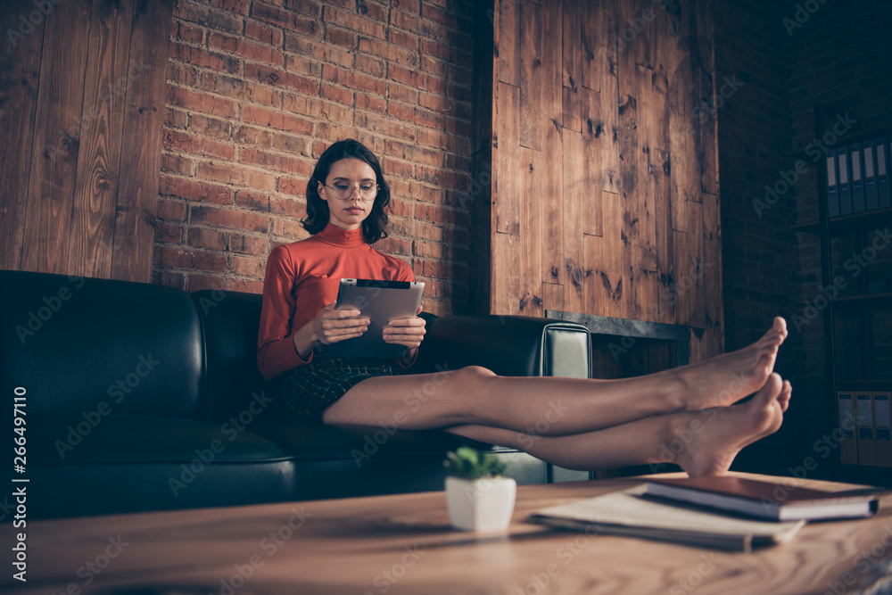 Portrait of her she nice attractive focused concentrated professional ...