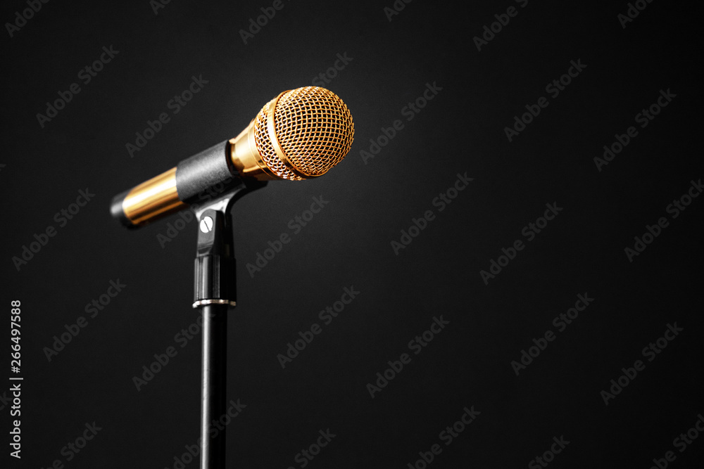 Gold Microphone Stand