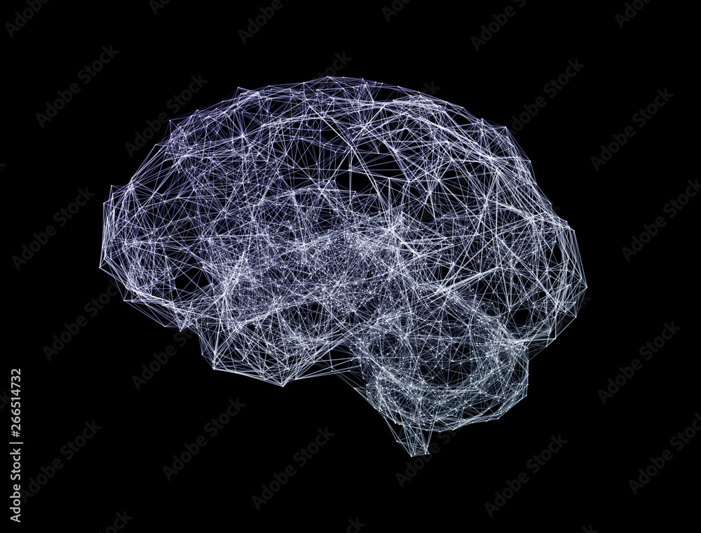 The Human Mind Abstract