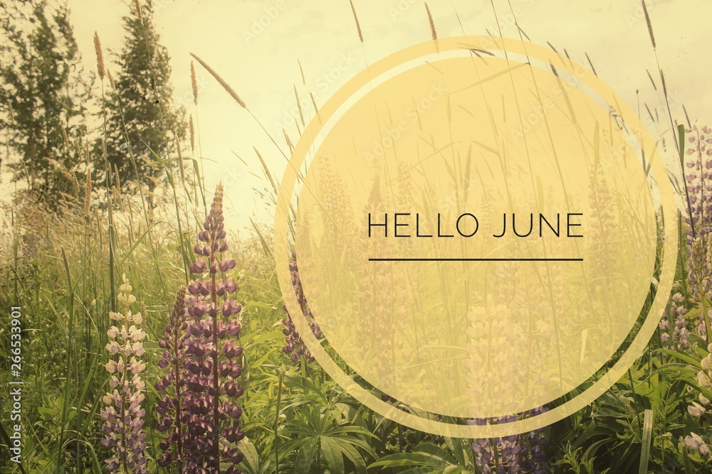 Banner hello june. Text on the photo. Text hello June. New month. New ...